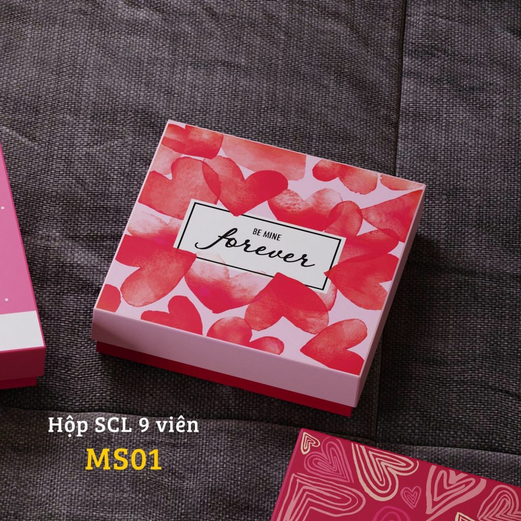 Hộp socola 9 viên (nhiều mẫu) - Làm Bánh Không Khó